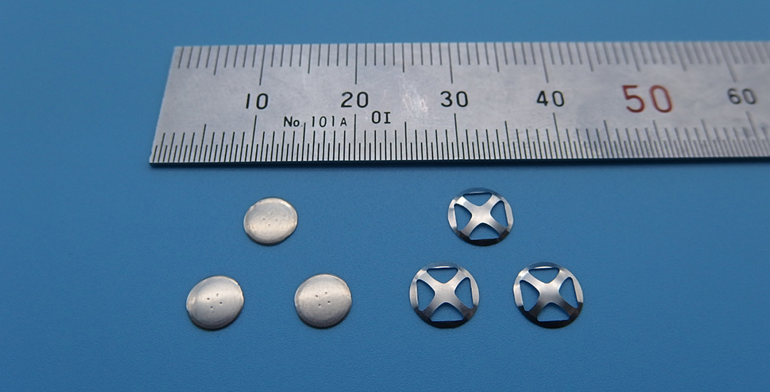 Fuji Electronics Industries Co., Ltd | Automotive Domes